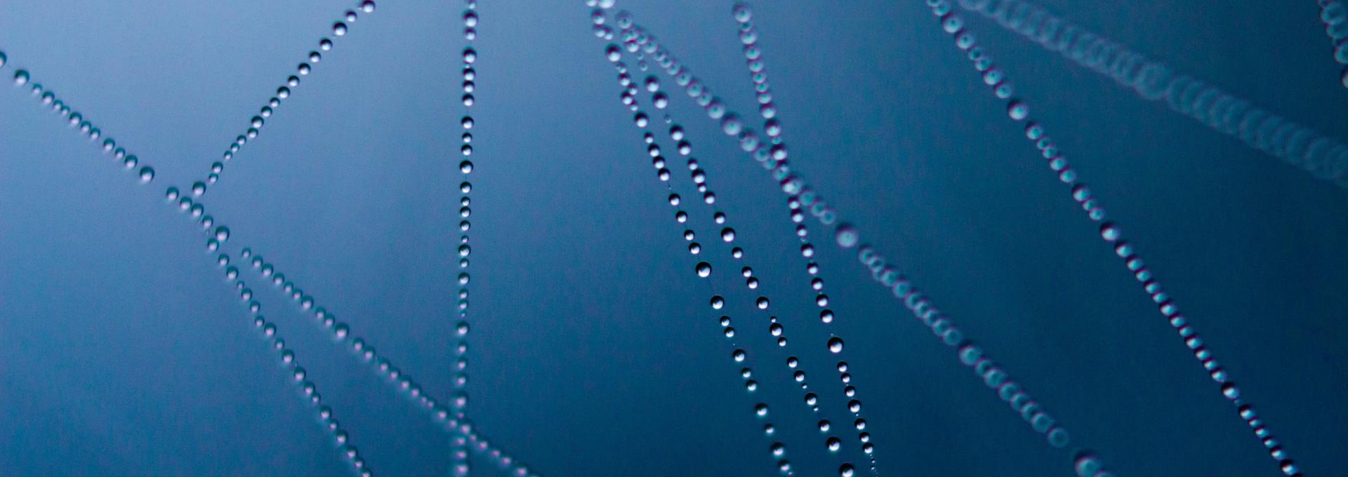 Python für Anfänger | Bitkom Akademie