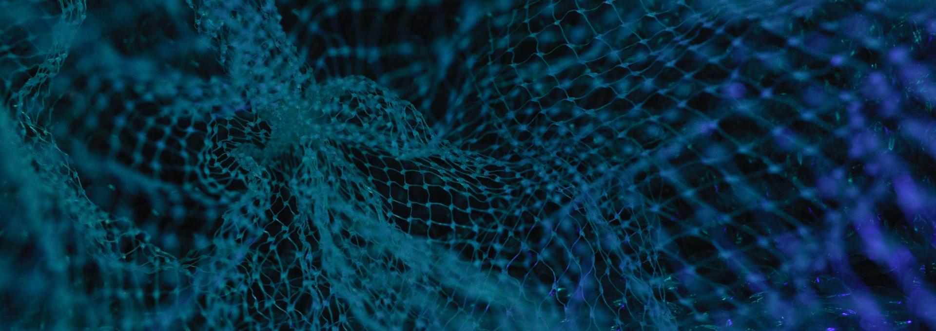 TRANSFORM - KI-Compliance 2026: Best Practices aus 12 Monaten KI ...